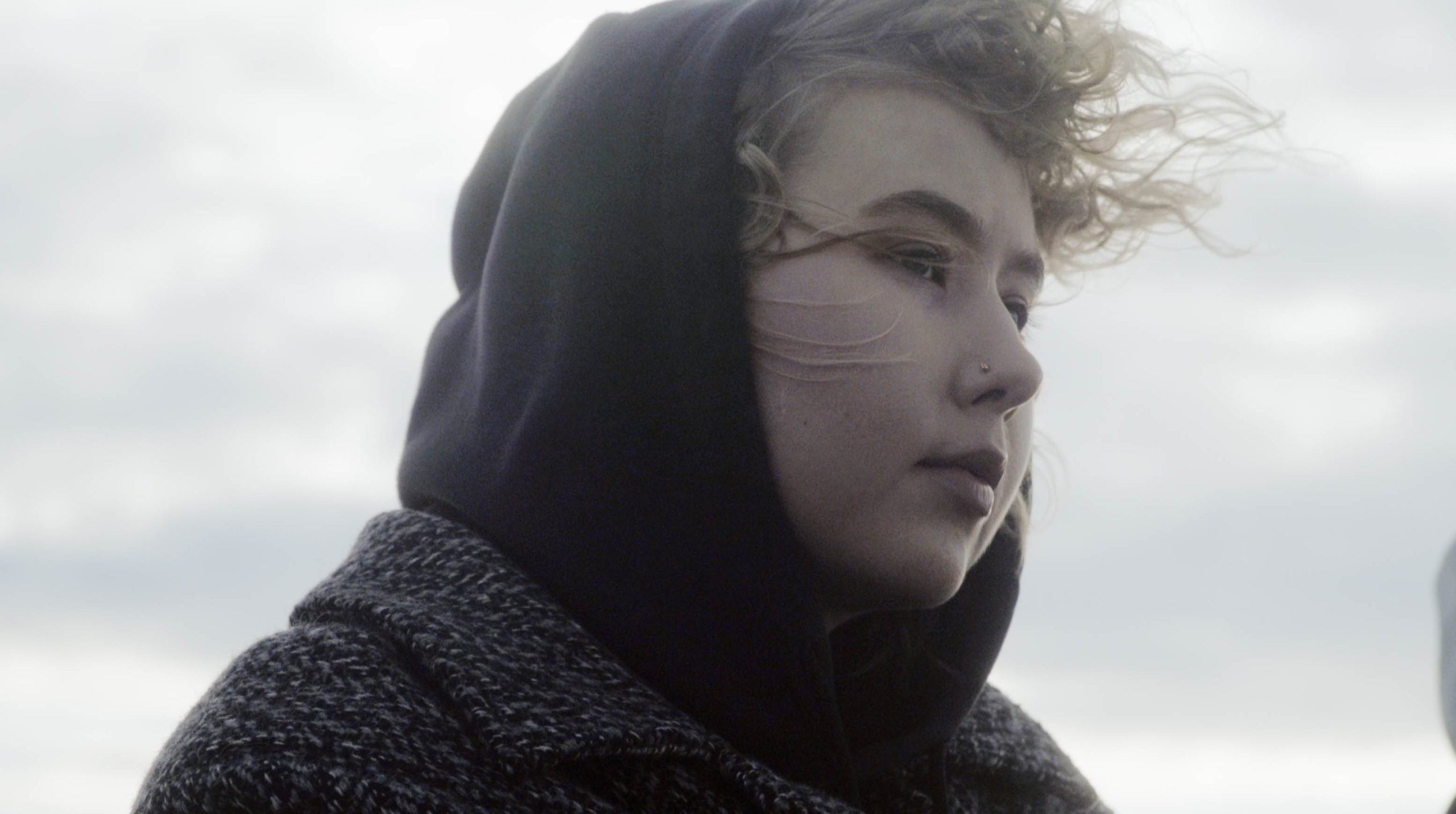 Dear Arctic - Koulukino