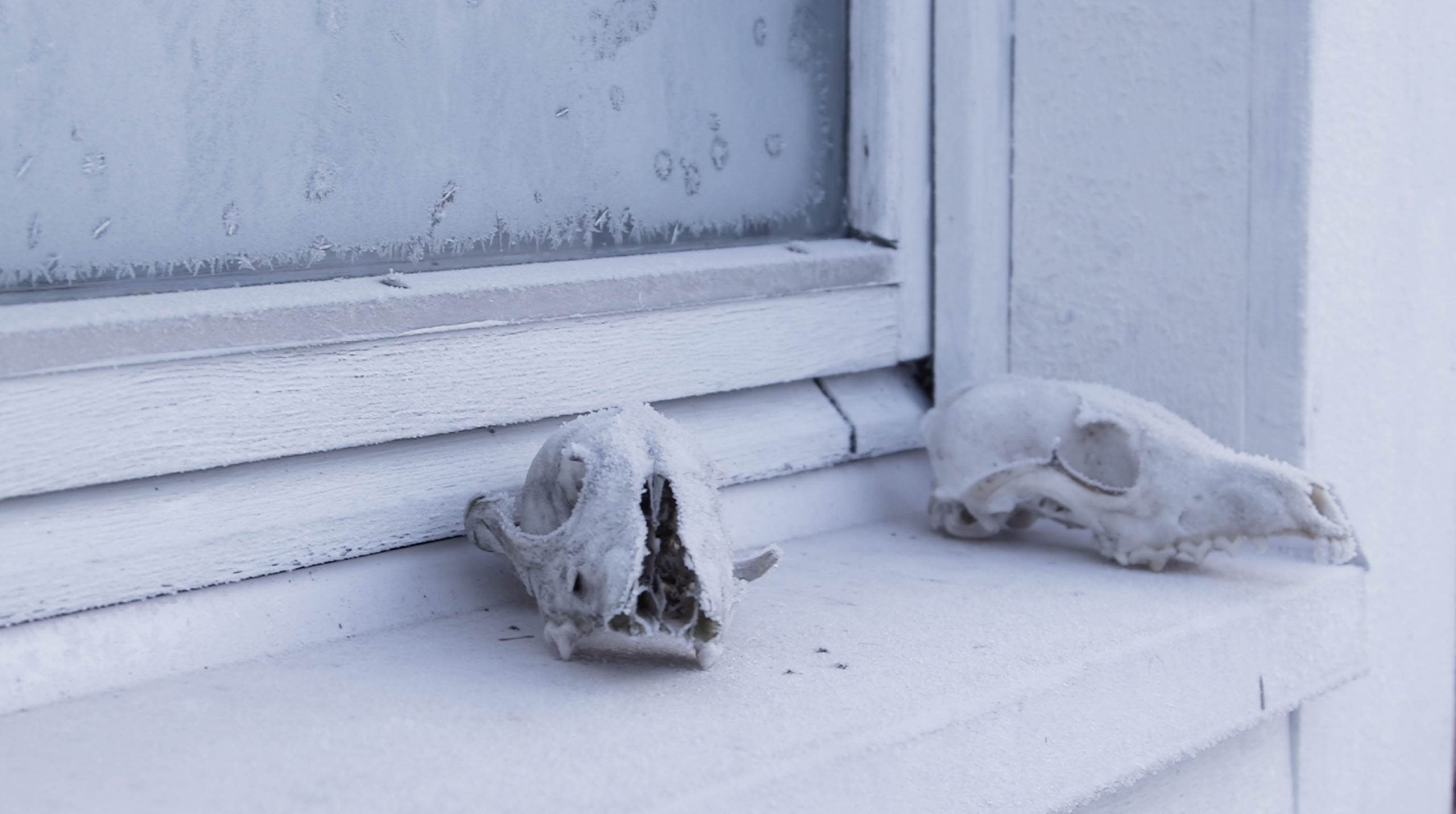 Ilmastonmuutoksen tutkimus - Koulukino